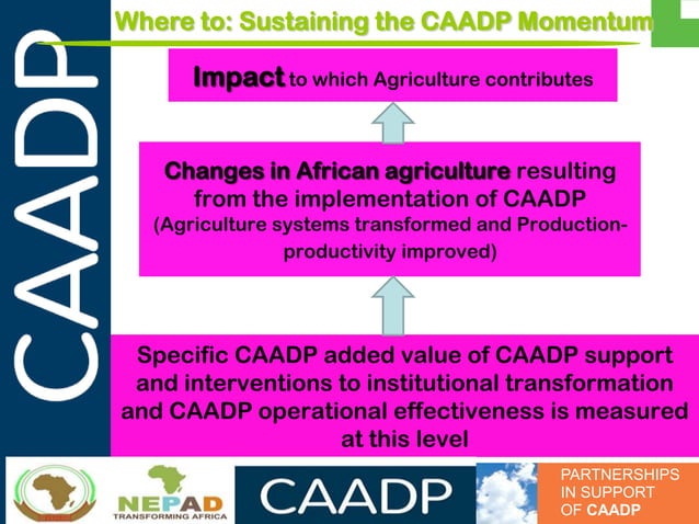 Advancing CAADP Implementation: Key results and impact | PPTX