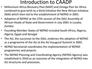 THE COMPREHENSIVE AFRICA AGRICULTURE DEVELOPMENT PROGRAMME (CAADP) AND ...