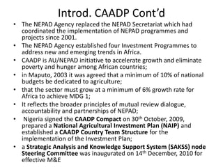 THE COMPREHENSIVE AFRICA AGRICULTURE DEVELOPMENT PROGRAMME (CAADP) AND ...