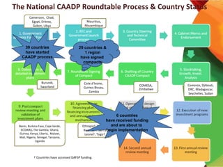 CAADP presentation at Fara Feb 10 2012 | PPT