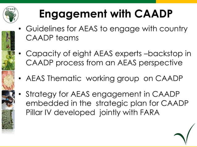 CAADP Progress Summary | PPTX