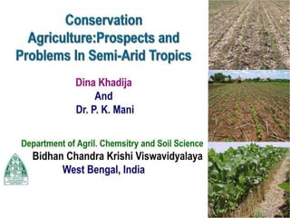 Conservation Agriculture in semi arid tropics | PPTX