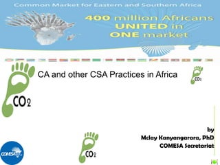 CA and other CSA practices in africa | PPT