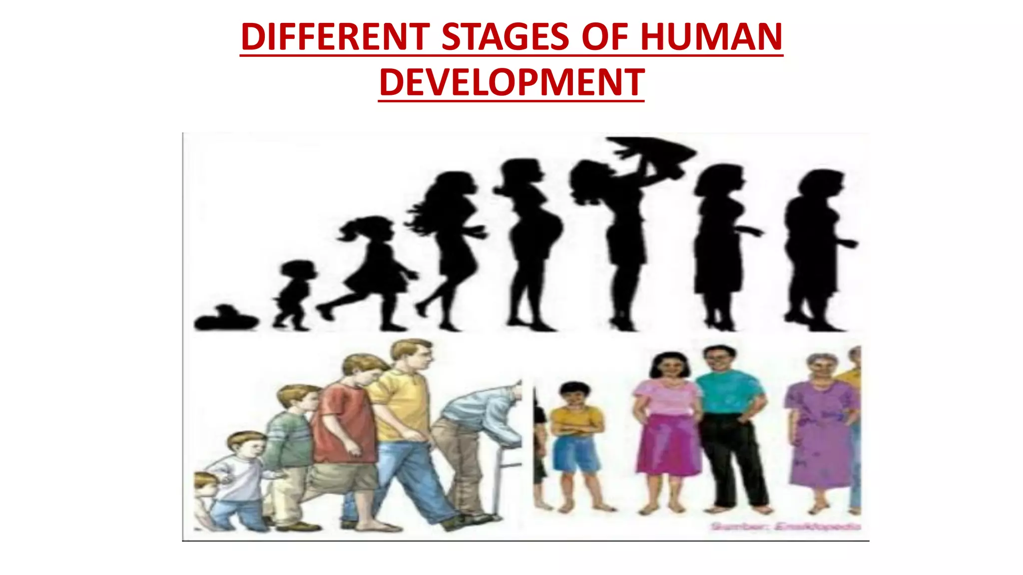 Childhood and adolescence | PDF