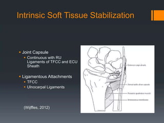 Anatomy of Triangular Fibrocartilage complex | PPTX