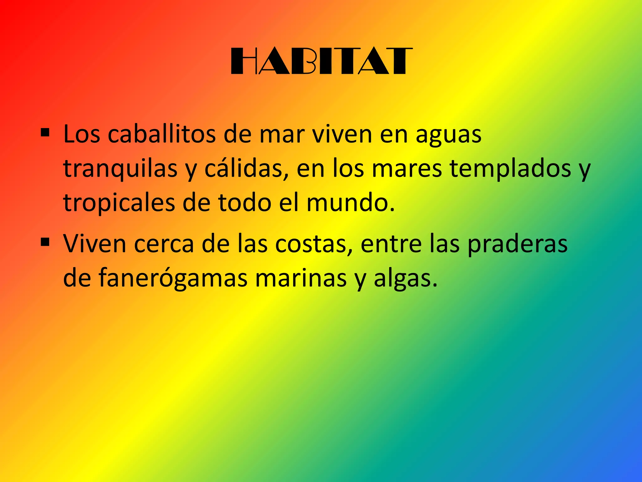 Caballitos de mar | PPTX