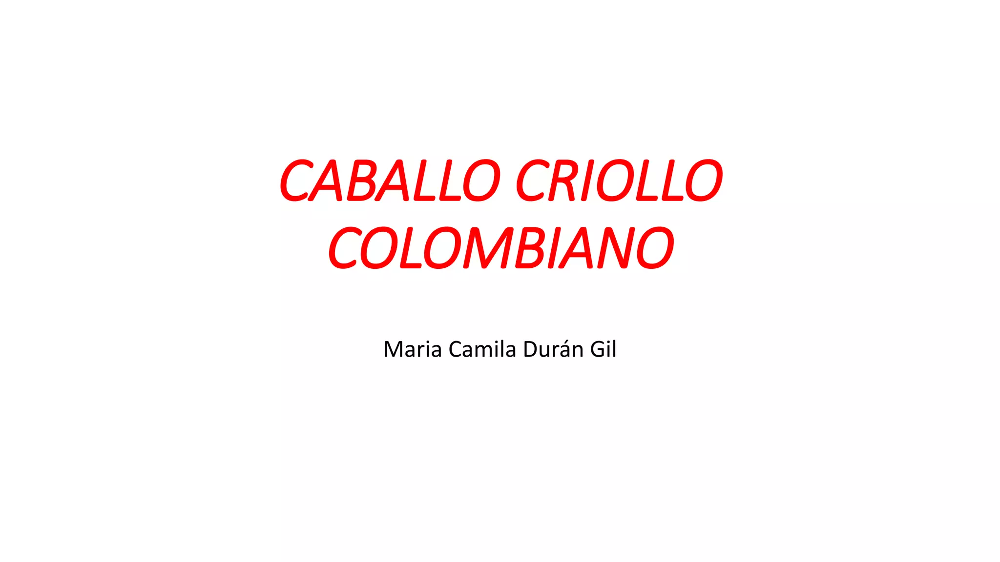 Caballo criollo colombiano | PPT