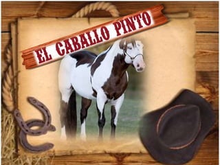 Caballo pinto americano | PPTX
