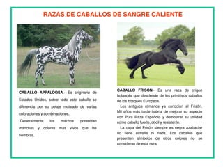 Razas de Caballos y sus características principales.pdf
