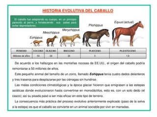 Razas de Caballos y sus características principales.pdf