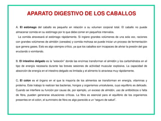 Razas de Caballos y sus características principales.pdf