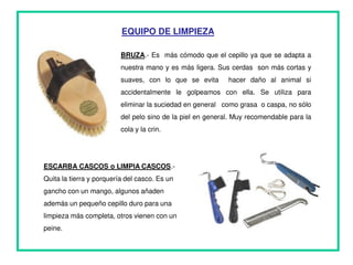 Razas de Caballos y sus características principales.pdf