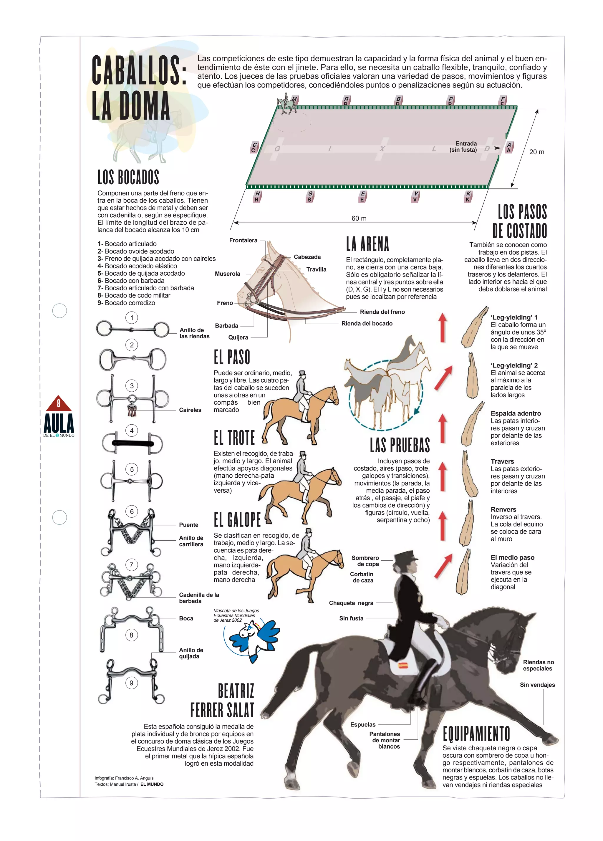 Caballos la doma | PDF | Equine Sports | Sports