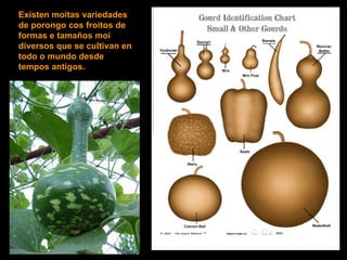 Cabazas, calacus e outras | PPT