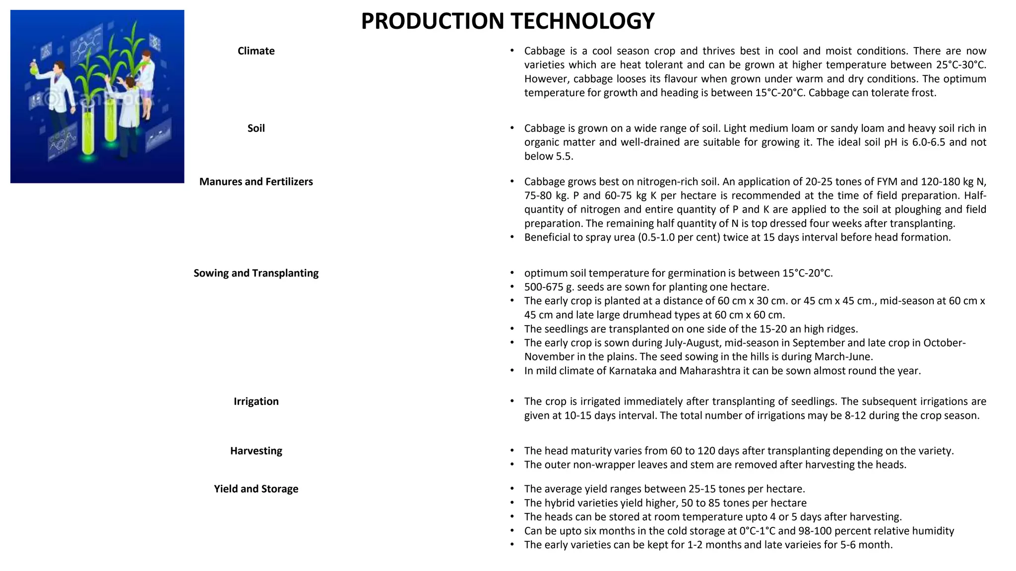 CABBAAGE Breeding and Cultivation.pptx