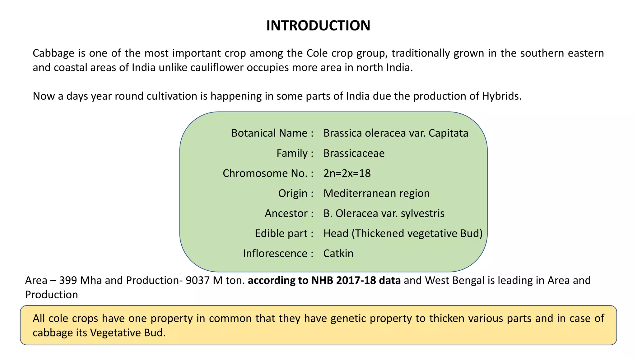 CABBAAGE Breeding and Cultivation.pptx