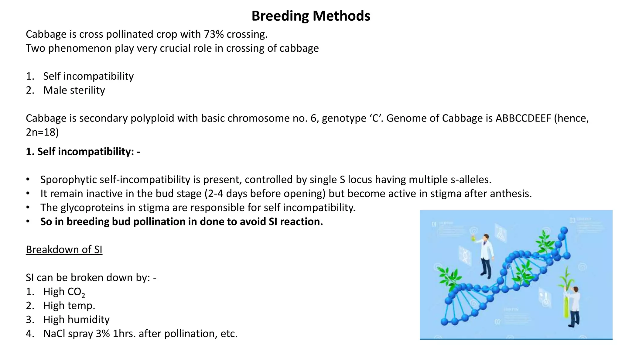 CABBAAGE Breeding and Cultivation.pptx