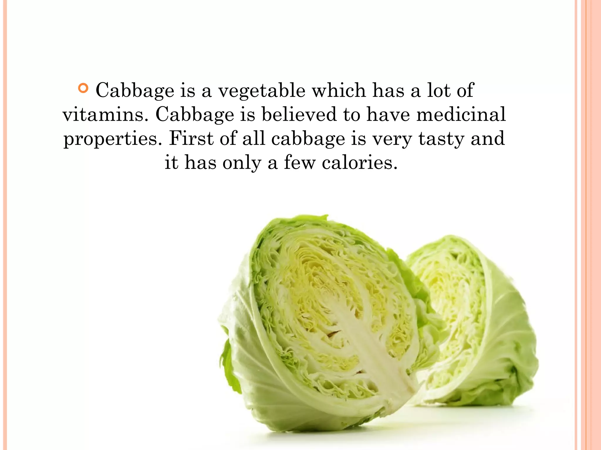 Cabbage | PPT