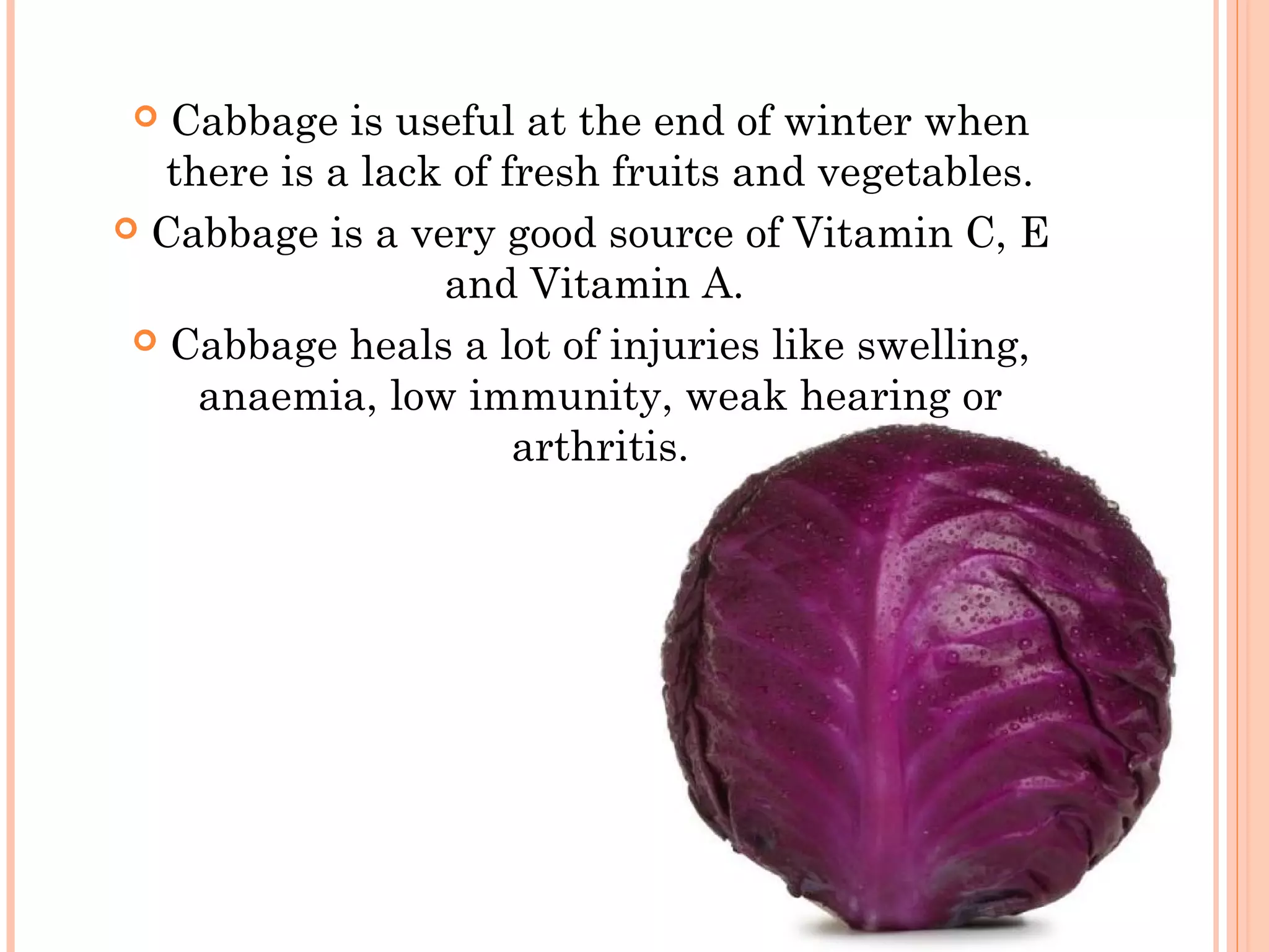 Cabbage | PPT