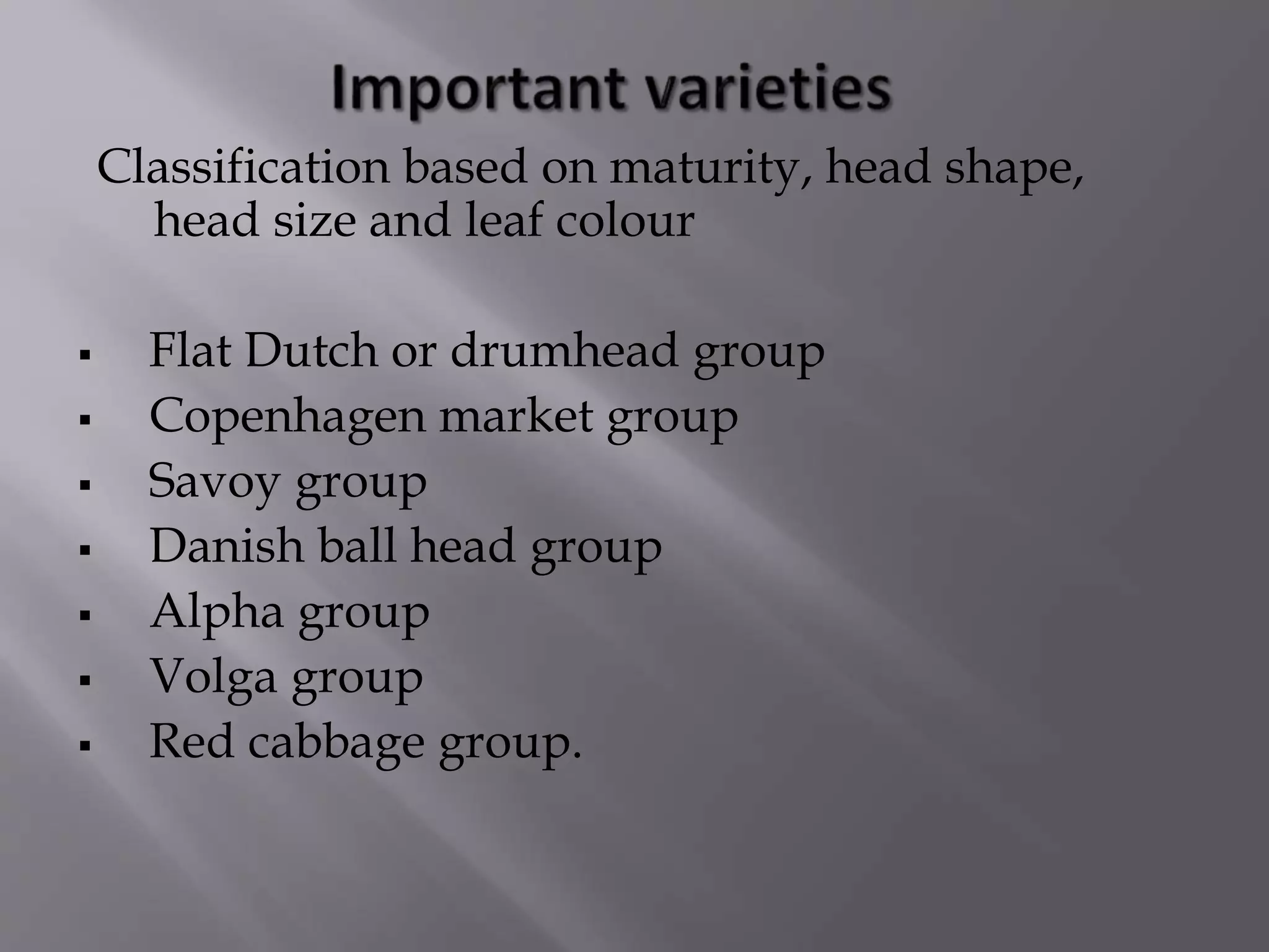 Cabbage (Brassica oleracea var.capitata) | PPTX