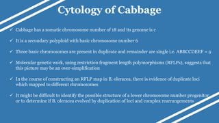 Cabbage: Origin, Taxonomy, Botany, genetics, cytogenetics, breeding ...