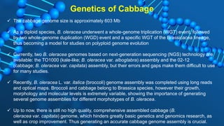 Cabbage: Origin, Taxonomy, Botany, genetics, cytogenetics, breeding ...