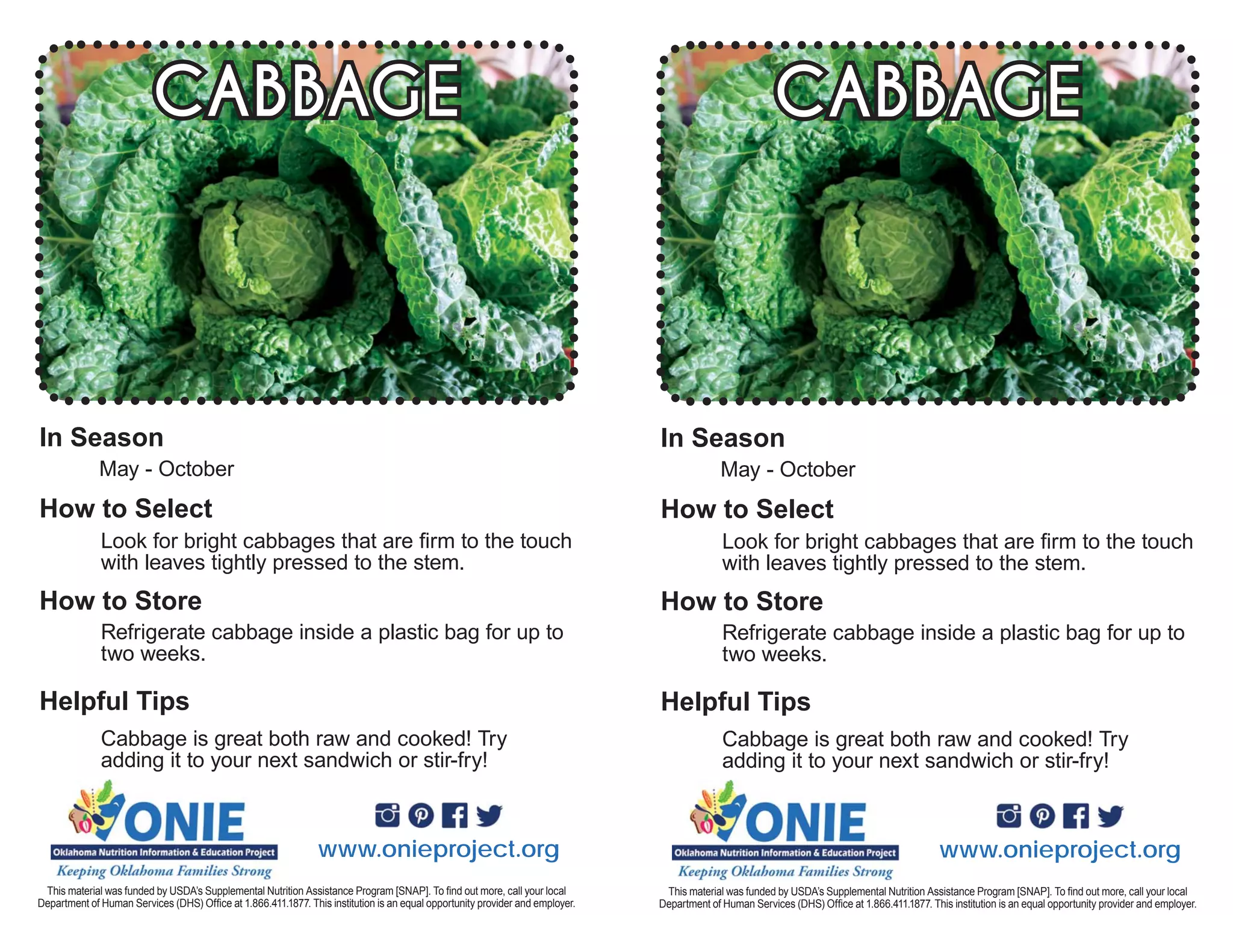 Cabbage Recipe Card | PPT