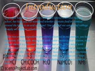 Acids and Bases | PPT