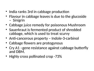 Cabbage New powerpoint in vegetable production | PPT
