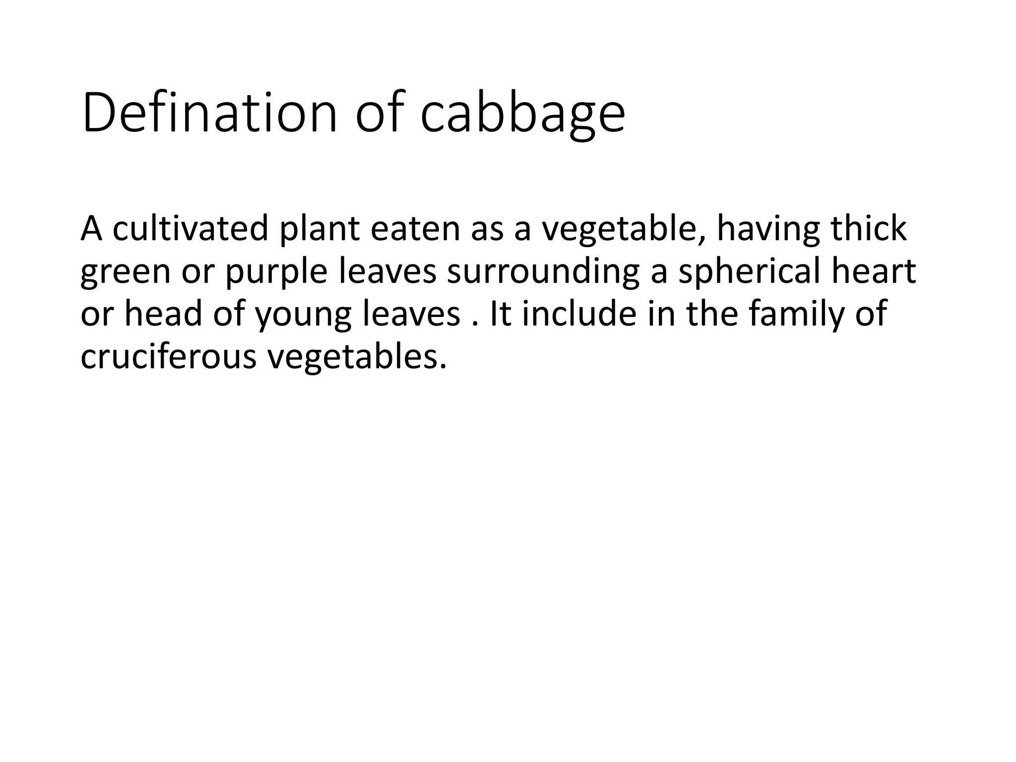 cabbage seed production and standards.pptx