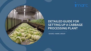 Cabbage Processing Project Report 2024 Edition | PPTX
