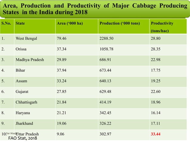 Production technology of Cabbage | PPTX