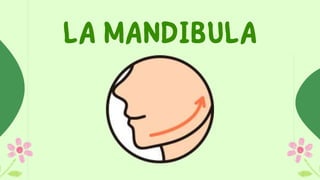 Human Head or La Cabeza in Spanish Class | PPTX