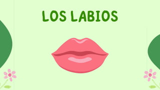 Human Head or La Cabeza in Spanish Class | PPT