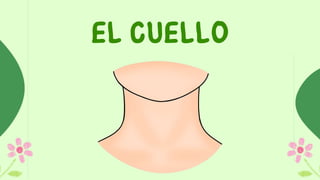 Human Head or La Cabeza in Spanish Class | PPT