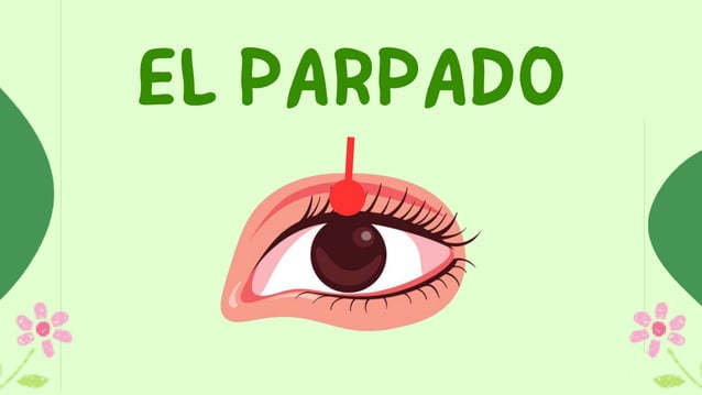 Human Head or La Cabeza in Spanish Class | PPT