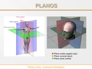 Cabeza cuello normal | PPTX
