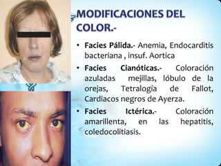 Cabeza cuello y facies | PPT