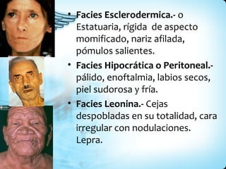 Cabeza cuello y facies | PPT