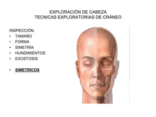 Examen Fisico Cabeza Y Cuello Ejemplo Hotsell | innoem.eng.psu.ac.th