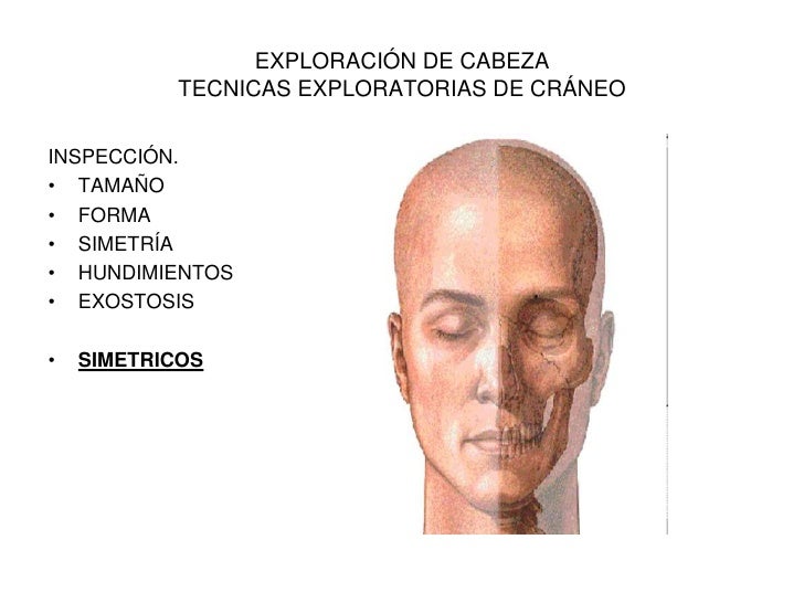 Exploracion de Cabeza y cuello
