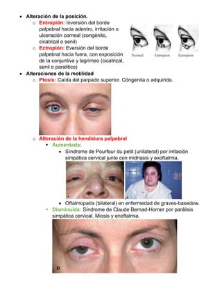 Cabeza y cuello, exploración física general | PDF