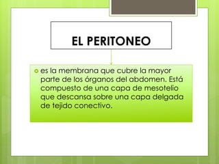 Cabidad periotoneal | PPTX