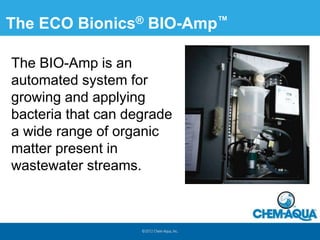 CA_BIO-Amp_Green_WWT_Presentation 2023.ppt