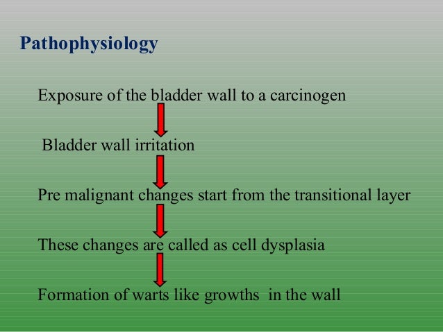 Ca bladder (2)