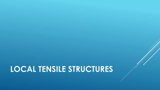 Cable and Tensile Structures for Architecture and Engineering | PDF