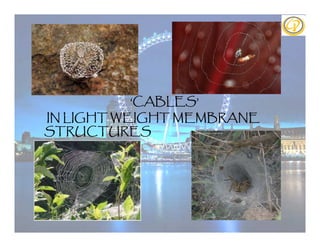LIGHTWEIGHT CONSTRUCTIONS-'CABLES' in Lightweight and Membrane ...