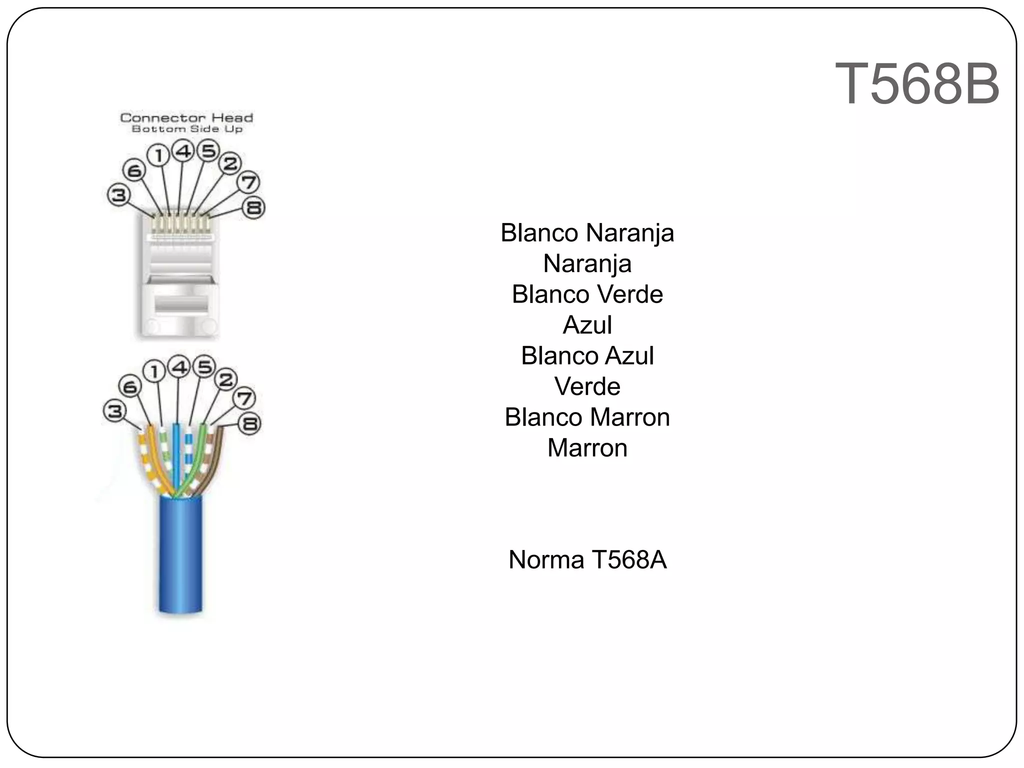 Cables t568 | PPTX