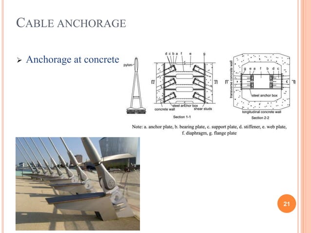 Cable stayed bridge | PPTX