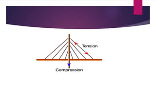 Cable strucutres(presentation) | PPTX